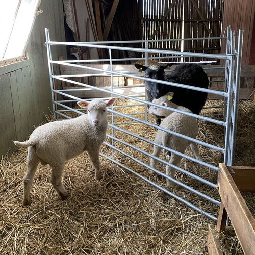 Gates and livestock housing fixtures in a durable design