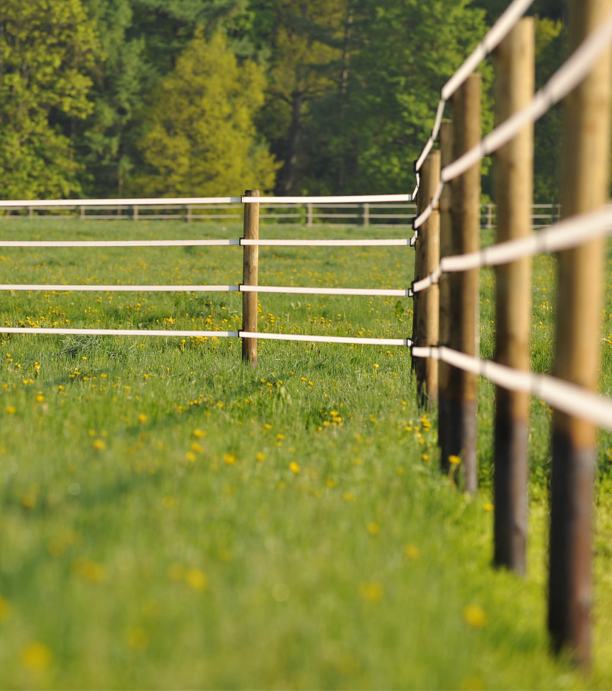 Checklist for a successful electric fence installation