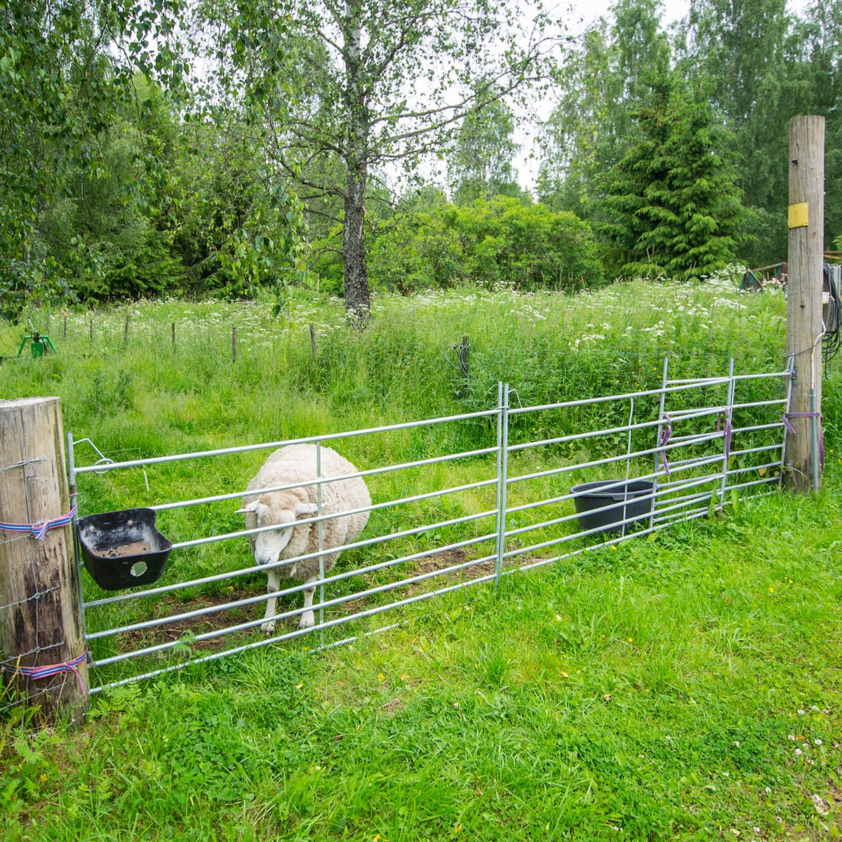 Moveable sheep gate galvanised 2.0 m